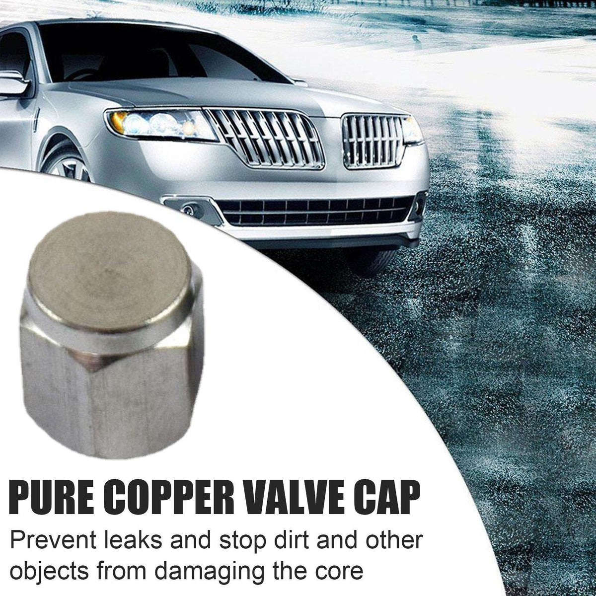 20PCS Brass Metal Valve Cap Tire Valve Stems Caps E-cap Air Dust Ca Go ...